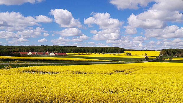 Varme på vej - prognose viser 22 grader | TV2 Nord Varme på vej - prognose viser 22 grader | TV2 Nord